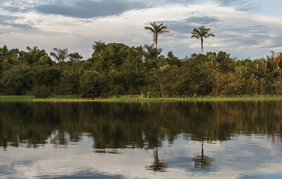 Ethience™ Protect - The eco-conscious barrier function balancer