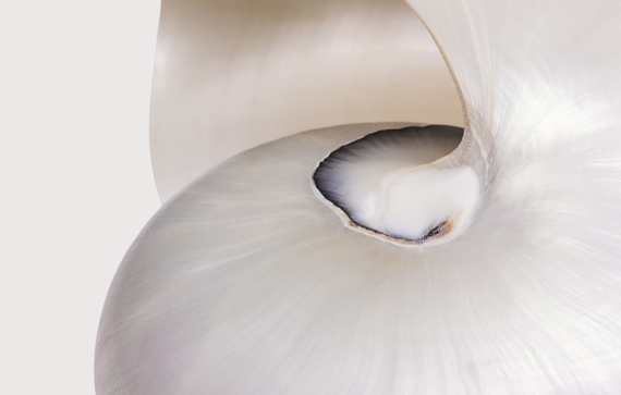 Perlogen™ Pearlizing agent for hair care formulations