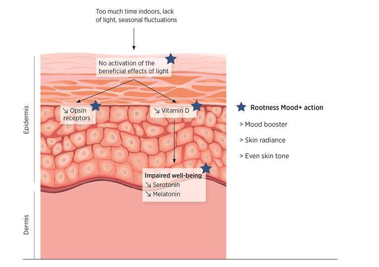 Introducing Clariant's new Rootness® Mood+: the light mimicking skin ...