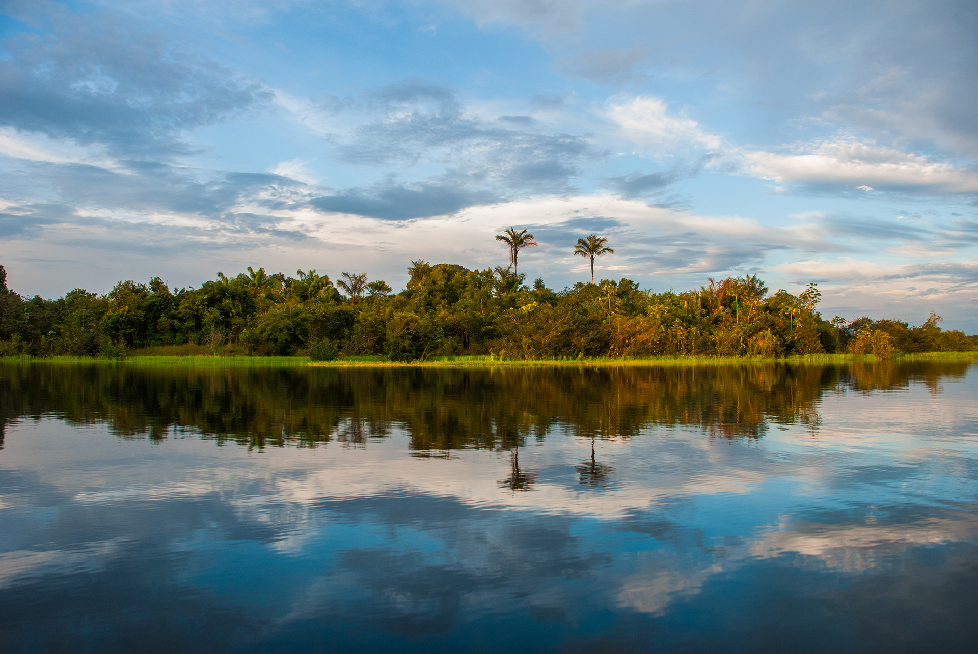 Sustainable sourcing – protecting the skin by protecting the Amazon forest