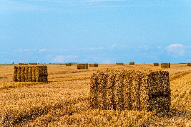 ABLC Next 2022 - meet industry experts for the newest technologies of ...