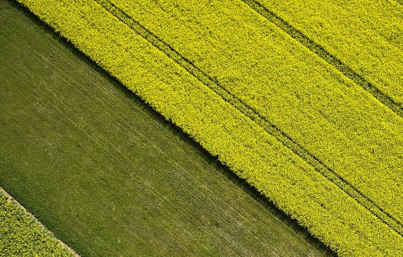 Agriculture and animal feed