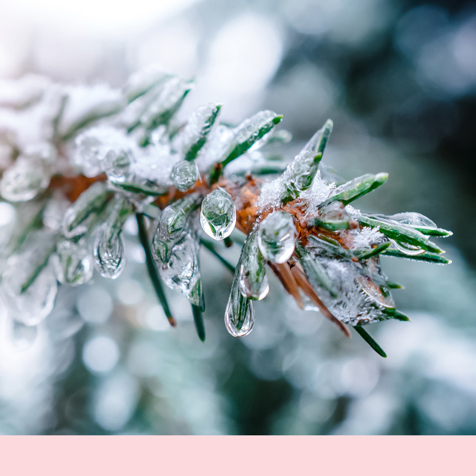 Borēaline™ Protect