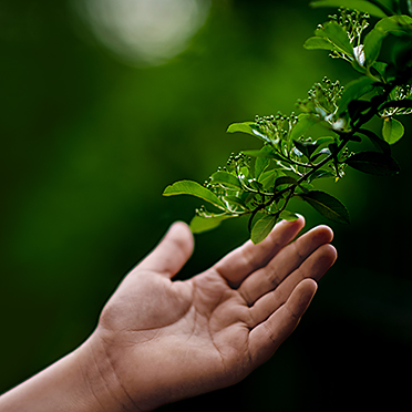 Polyglykol Methylether