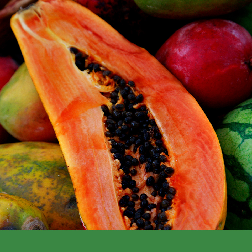 Tropical Fruit Harvest™ AF