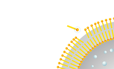 Velsan® SC - CLARIANT